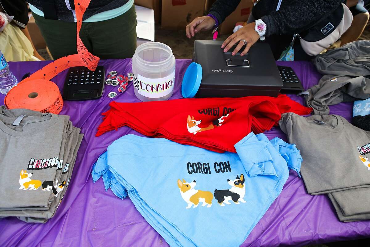 Corgi Con takes over San Francisco's Ocean Beach
