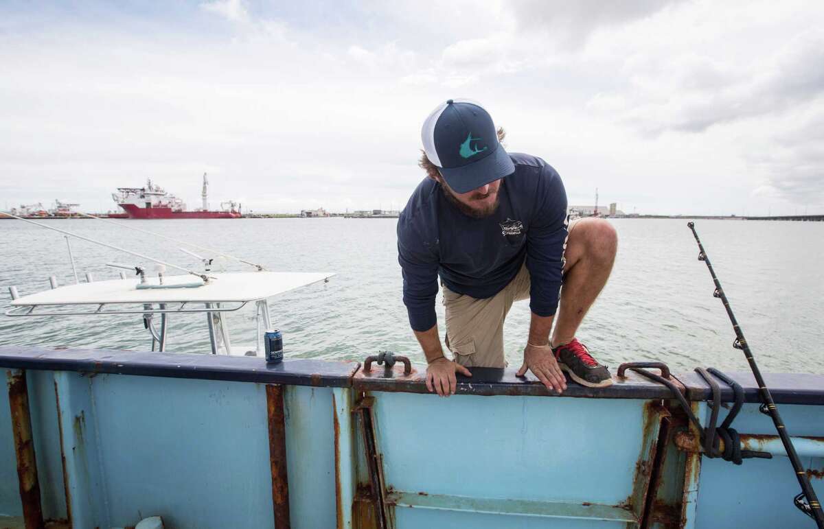 Research ship to wrangle sharks onto submerged elevator