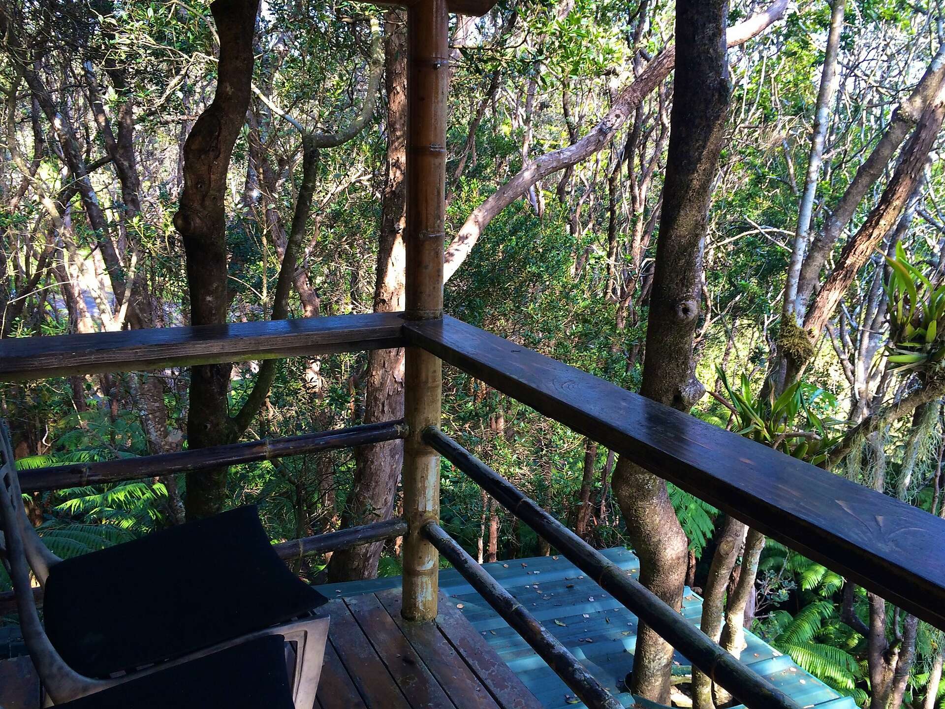 Big Island tree house more than a honeymoon hideaway