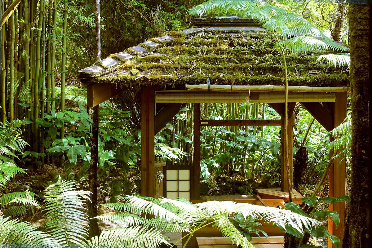 Couple on creative, healing path build Volcano Rainforest Retreat