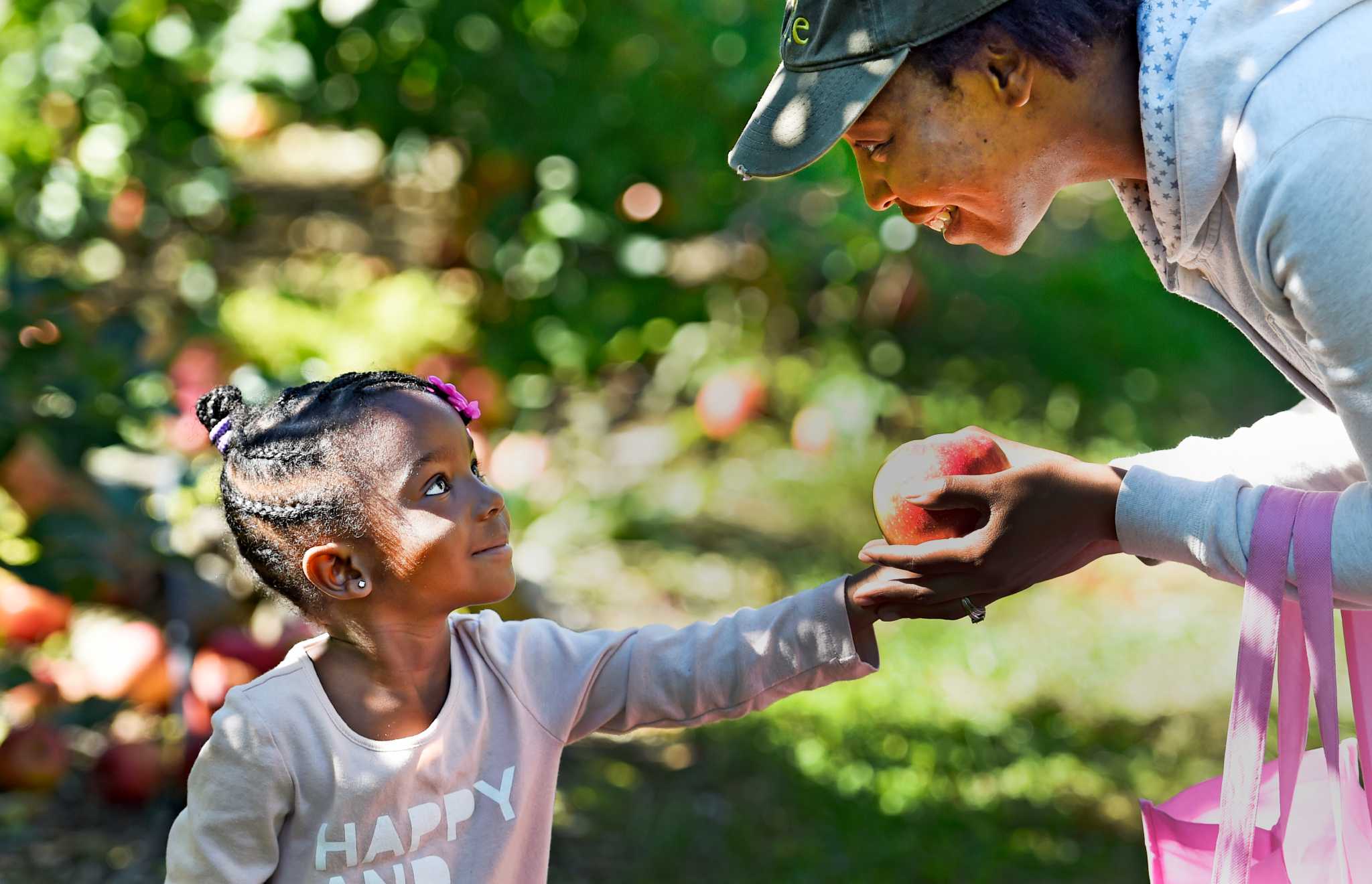 Photos: Apple-picking weather