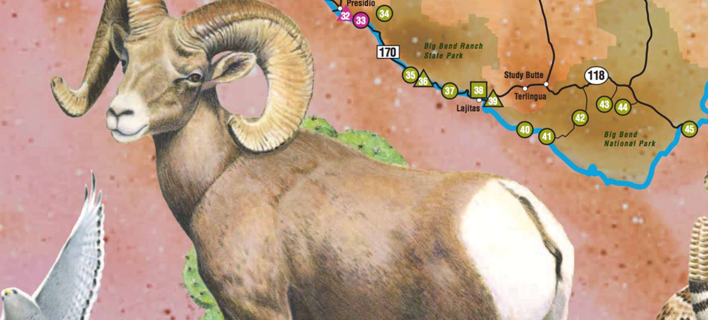 TPWD debuts interactive maps of best Texas road trips for nature lovers