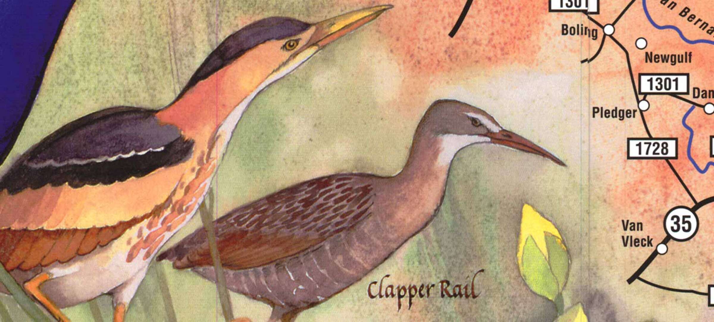 TPWD debuts interactive maps of best Texas road trips for nature lovers