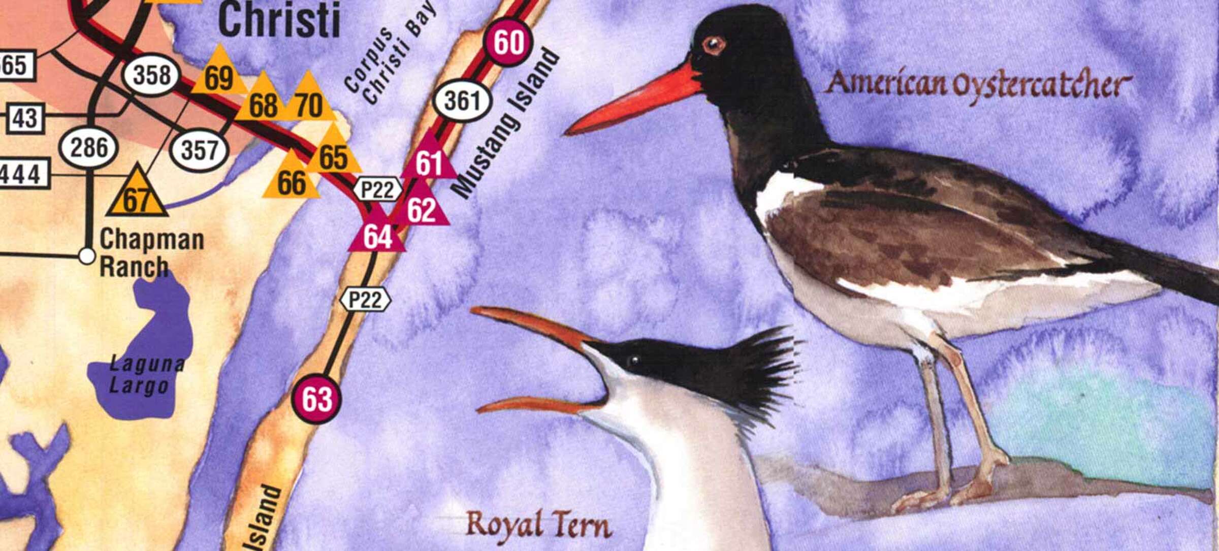 TPWD debuts interactive maps of best Texas road trips for nature lovers