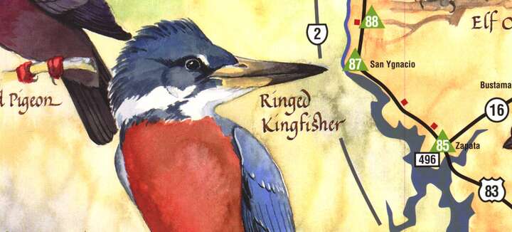 TPWD debuts interactive maps of best Texas road trips for nature lovers