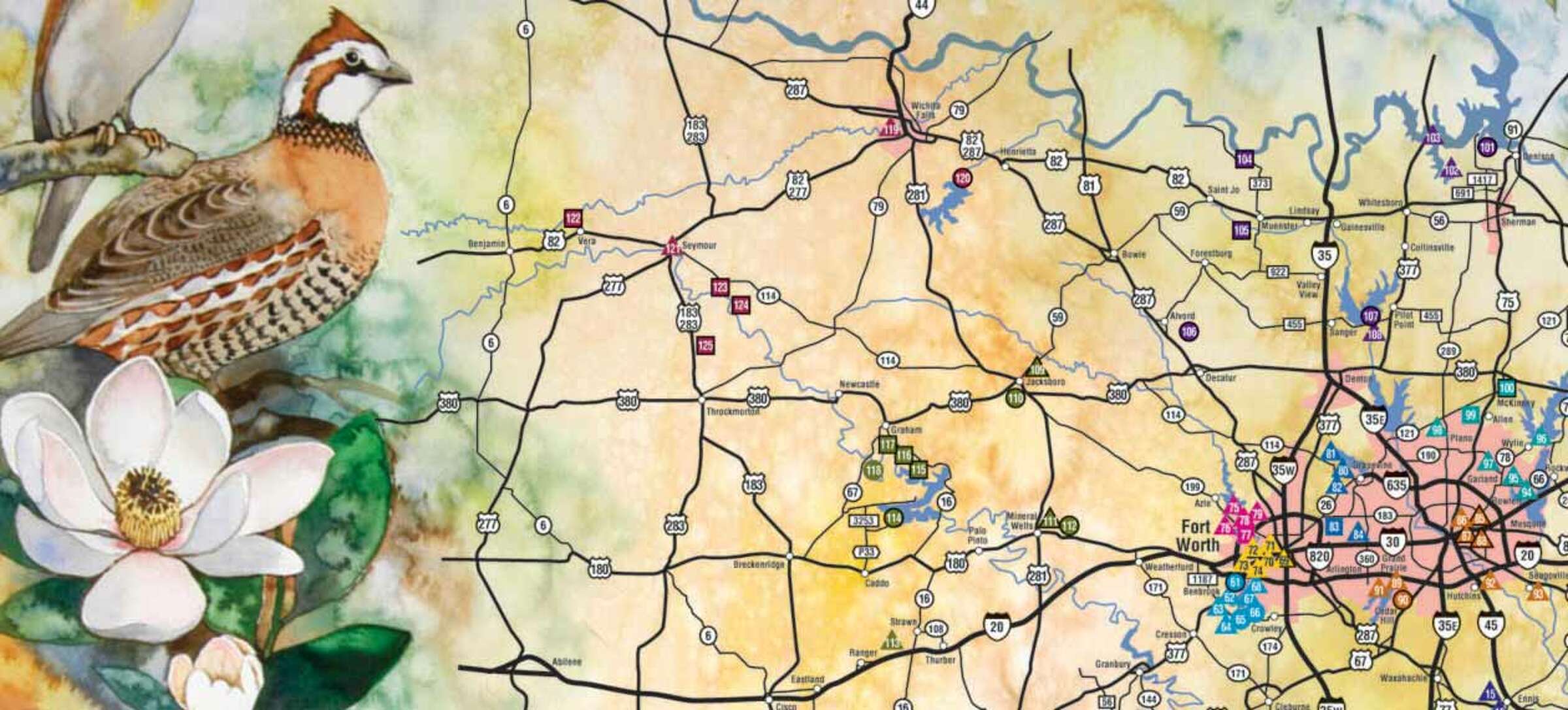 TPWD debuts interactive maps of best Texas road trips for nature lovers