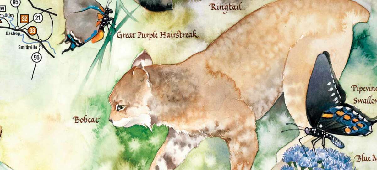 TPWD debuts interactive maps of best Texas road trips for nature lovers