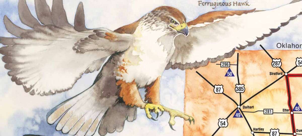 TPWD debuts interactive maps of best Texas road trips for nature lovers