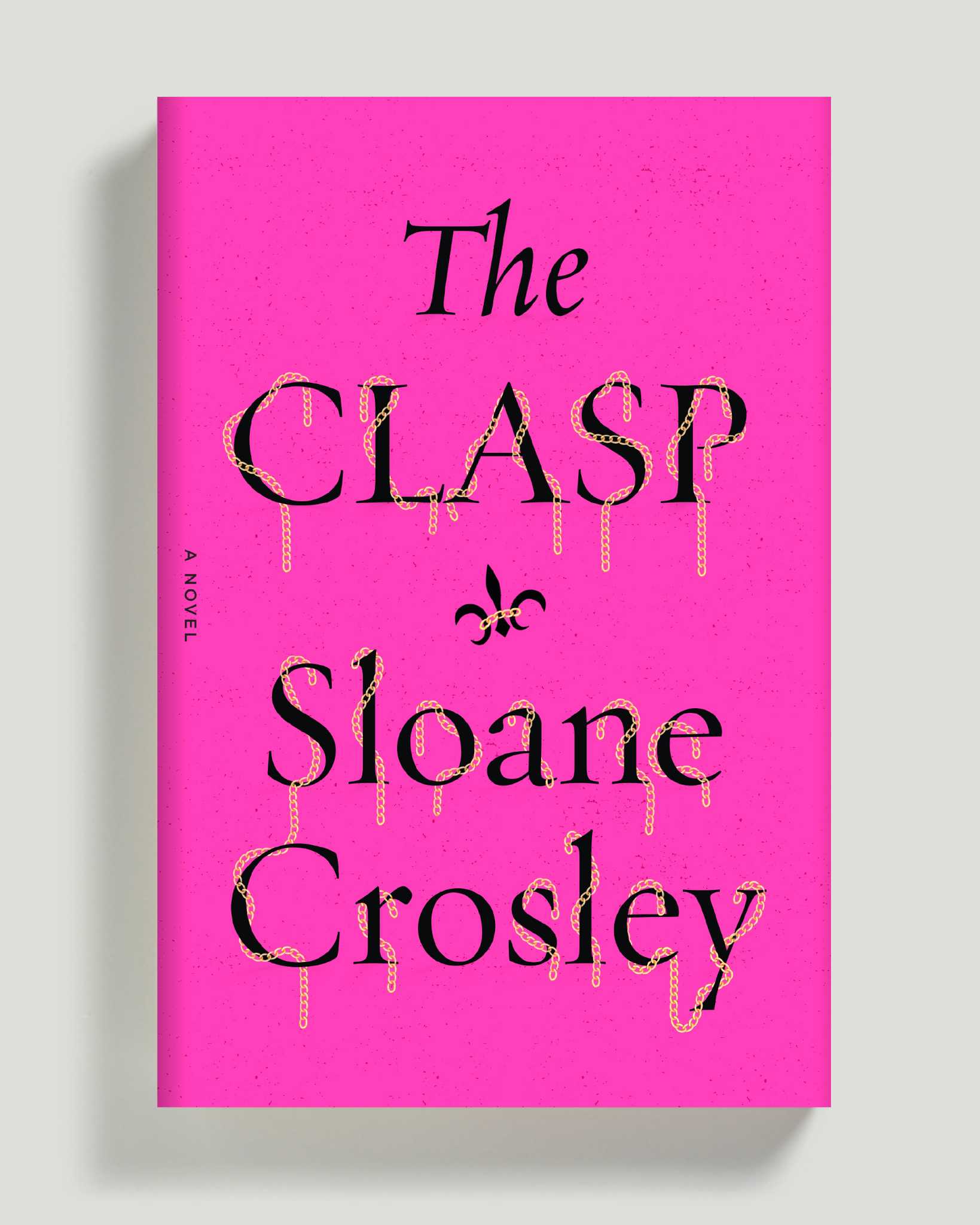 Sloane Crosley's debut novel is sharp, beautifully crafted