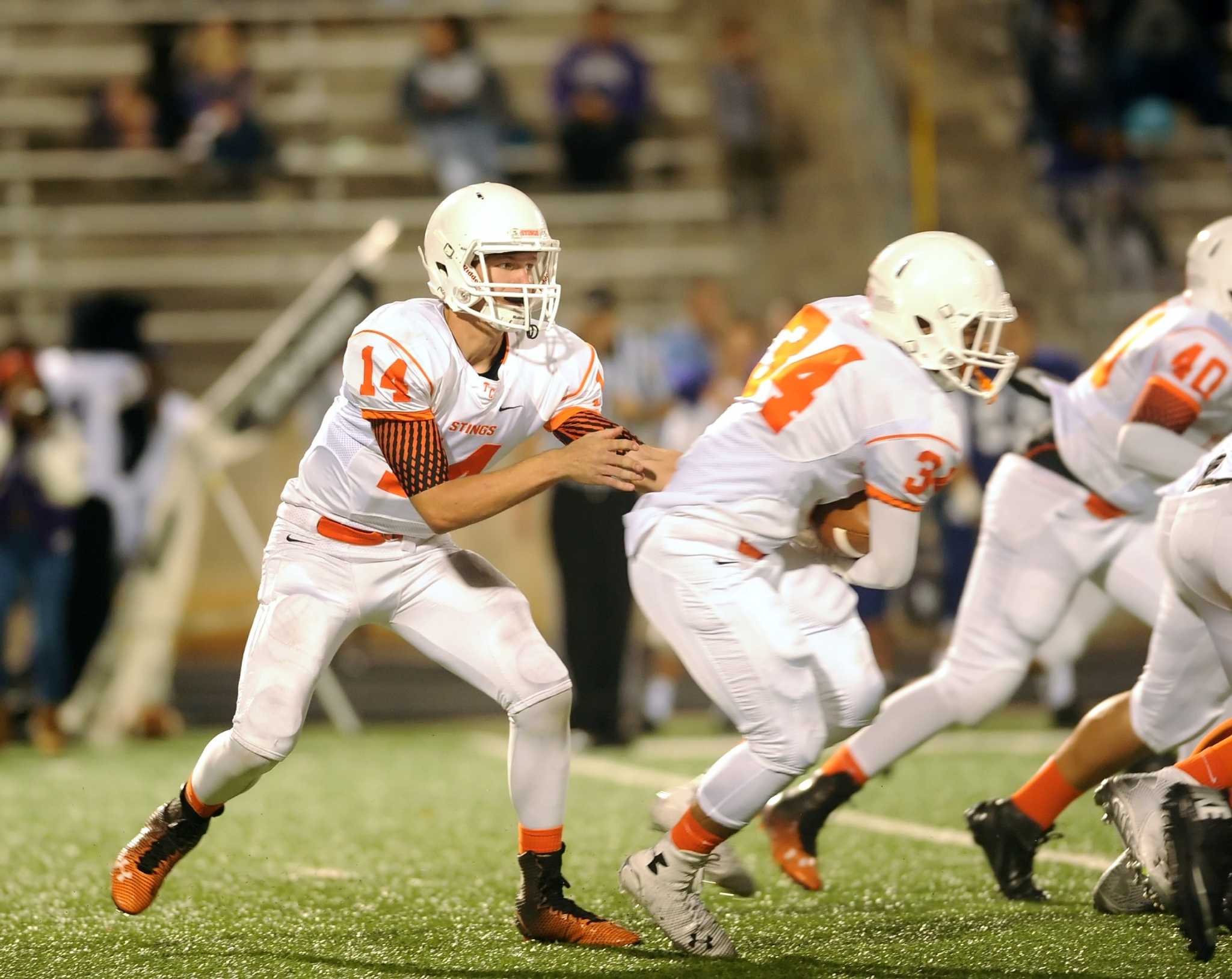 Stingarees fight through injury bug's stings