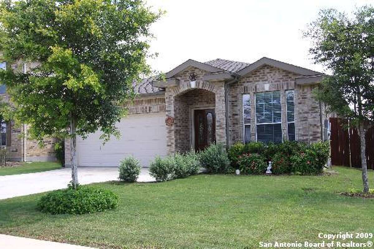 Shrubs lay a solid foundation for the landscape