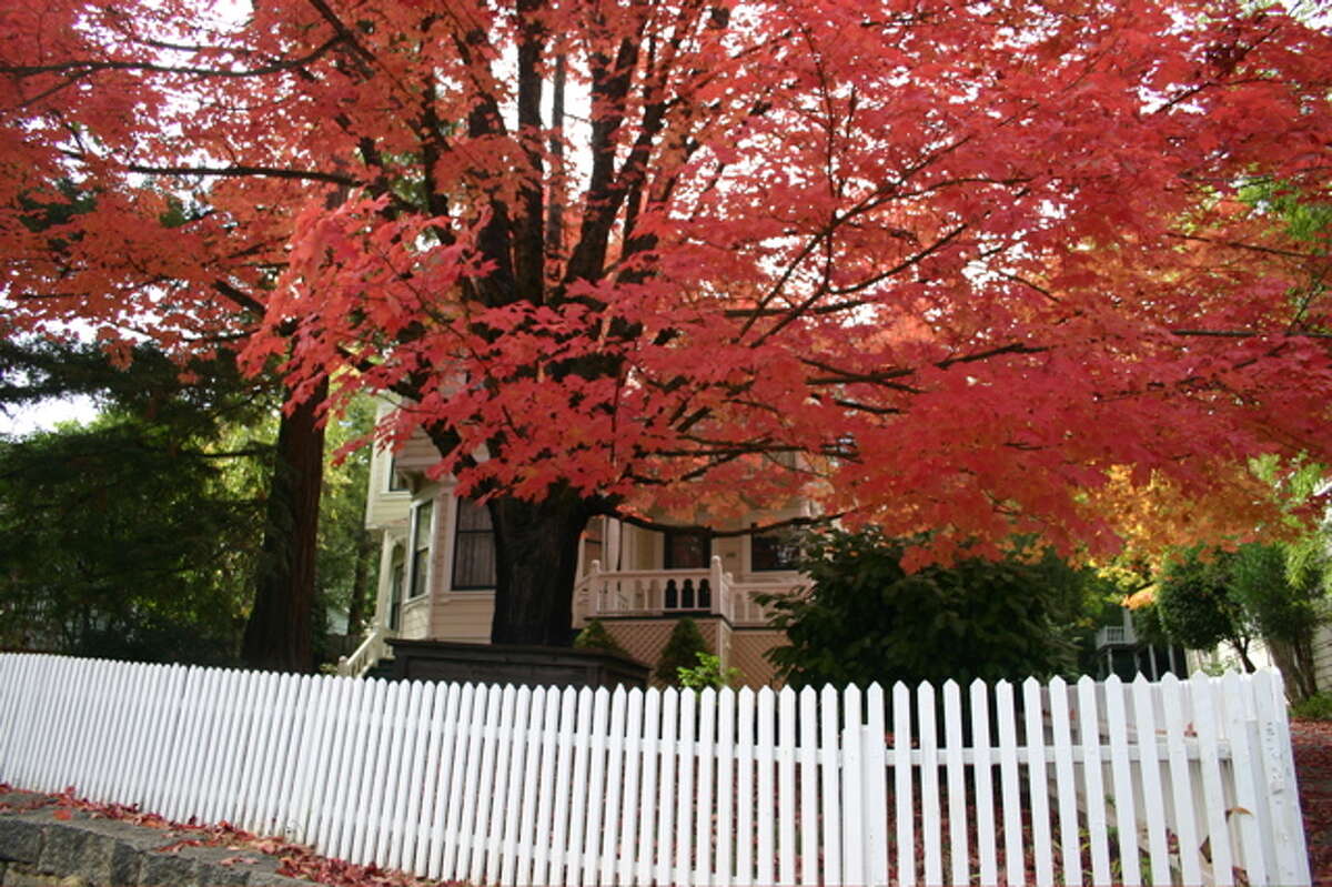 Where to find the prettiest fall foliage in Northern California and Bay ...
