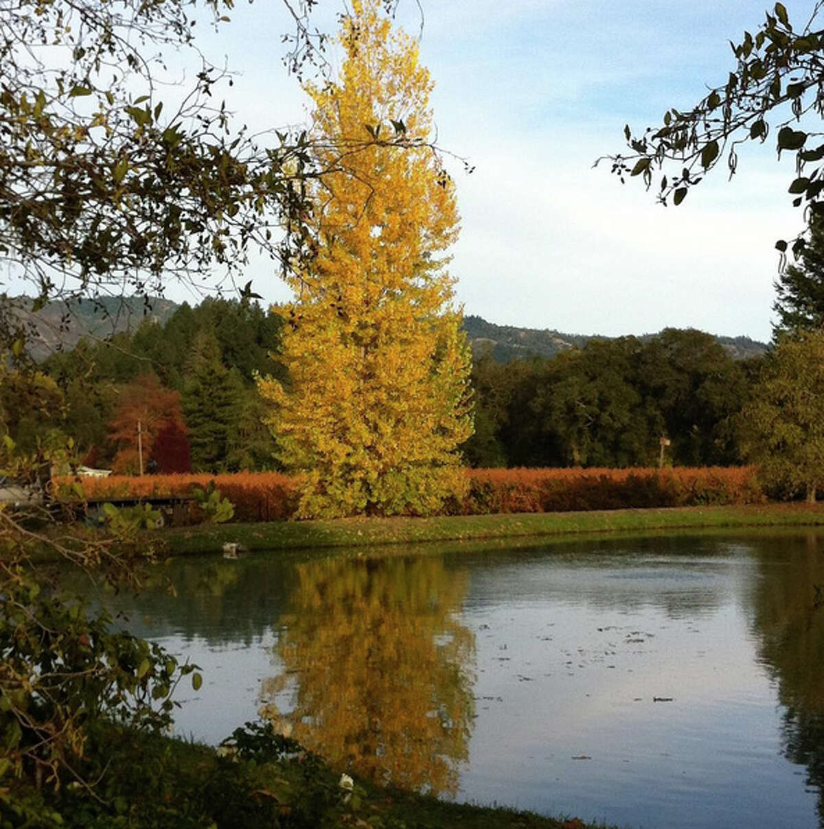 Best bets for fall foliage in the Bay Area and Northern California