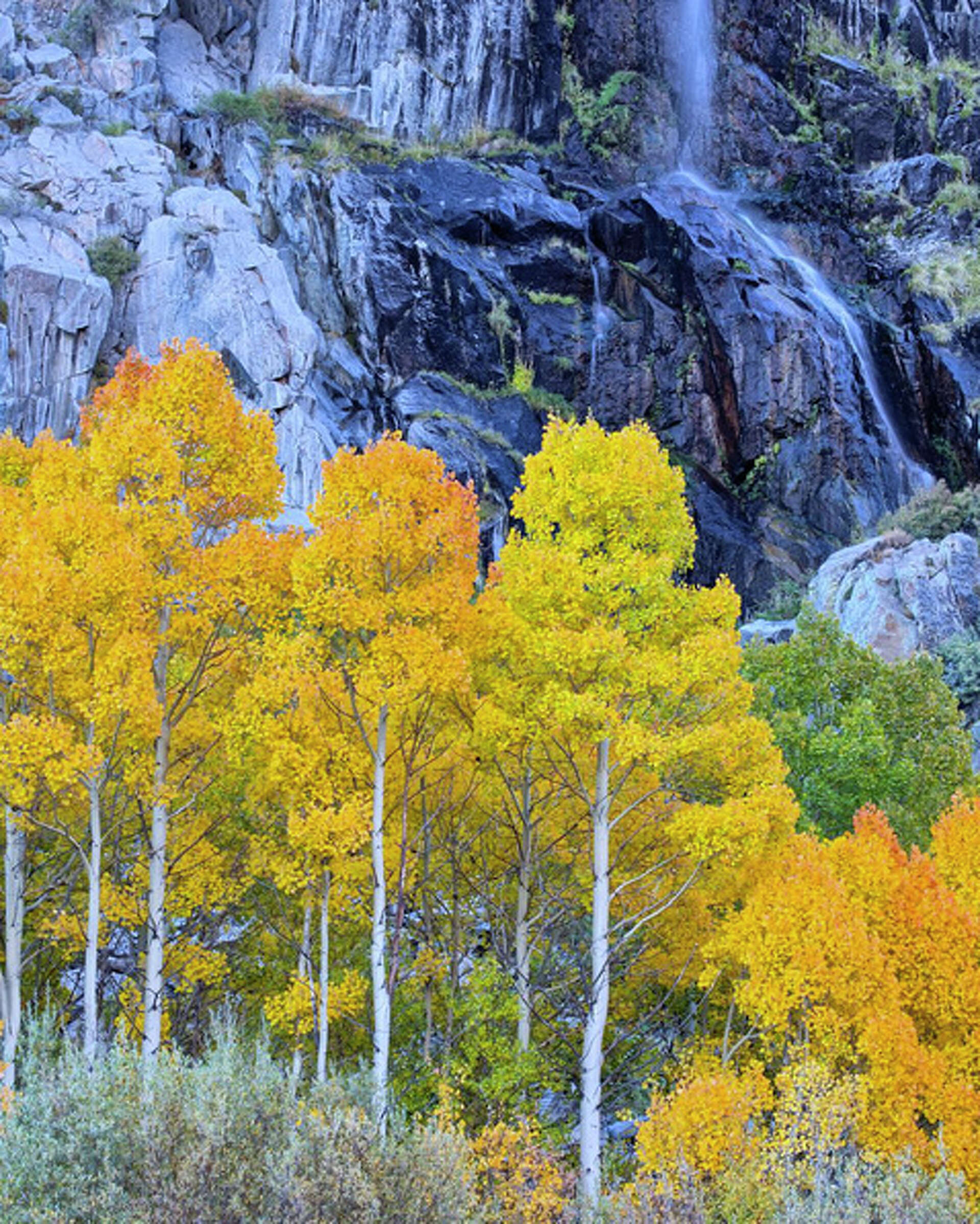 Best bets for fall foliage in the Bay Area and Northern California