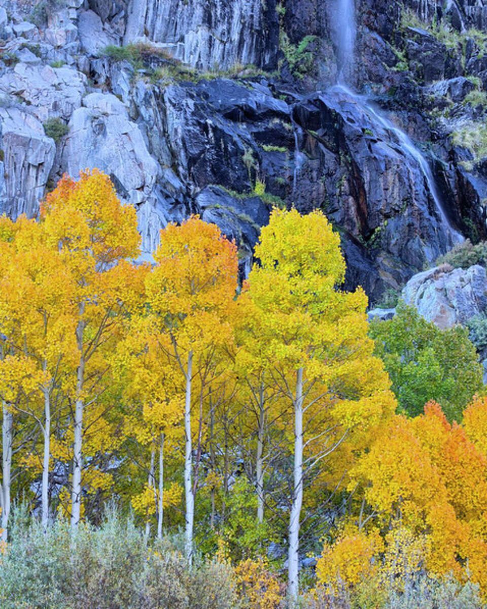 Best bets for fall foliage in the Bay Area and Northern California
