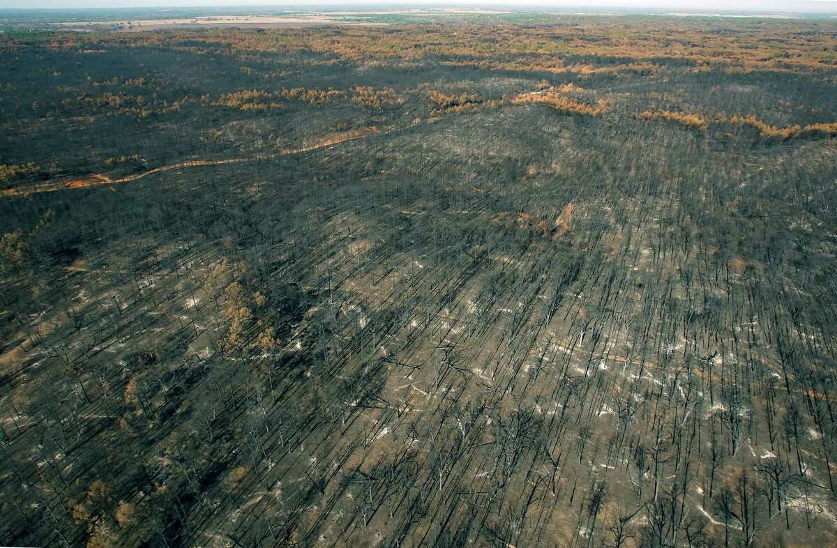 Hard lessons learned from Bastrop fire