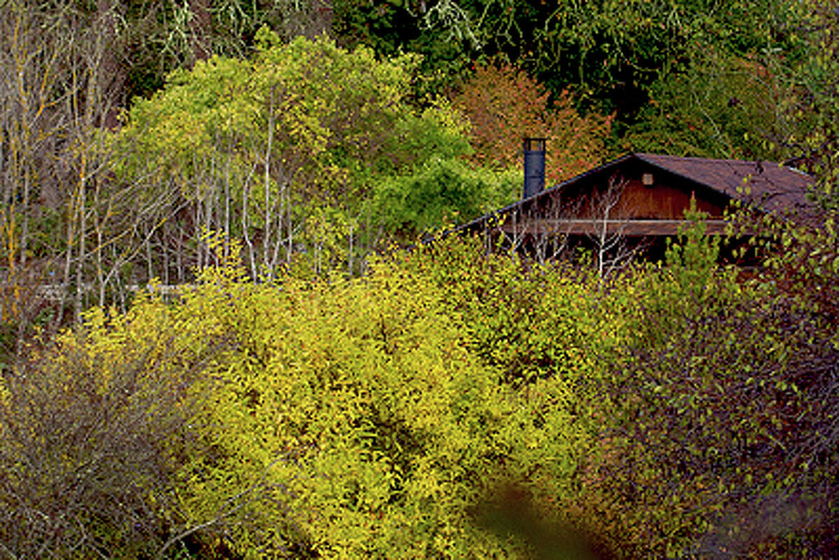 Best bets for fall foliage in the Bay Area and Northern California