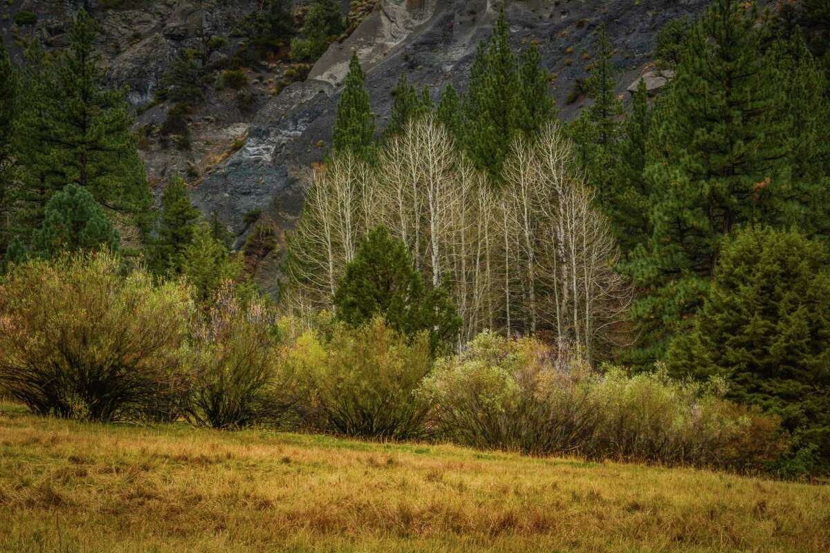 Where to find the prettiest fall foliage in Northern California and Bay ...