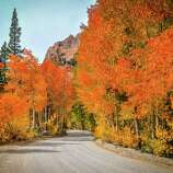 Best bets for fall foliage in the Bay Area and Northern California - SFGate