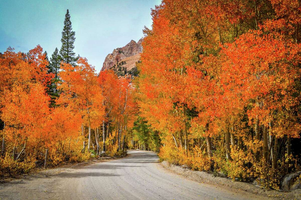 Best bets for fall foliage in the Bay Area and Northern California