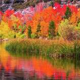 Best bets for fall foliage in the Bay Area and Northern California - SFGate