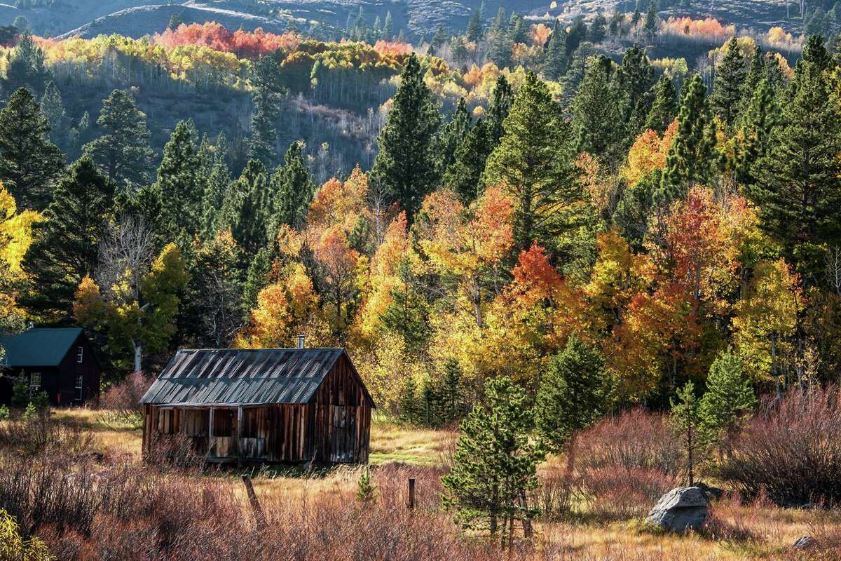 Where to find the prettiest fall foliage in Northern California and Bay ...