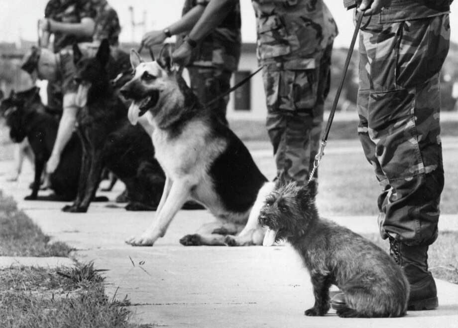 Basic training through the years: vintage photos reflect Air Force ...