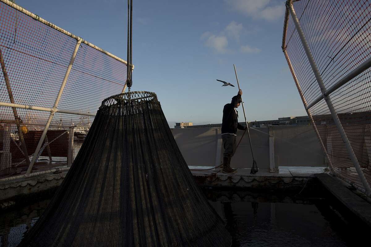 The real Fisherman’s Wharf: An addiction to the sea