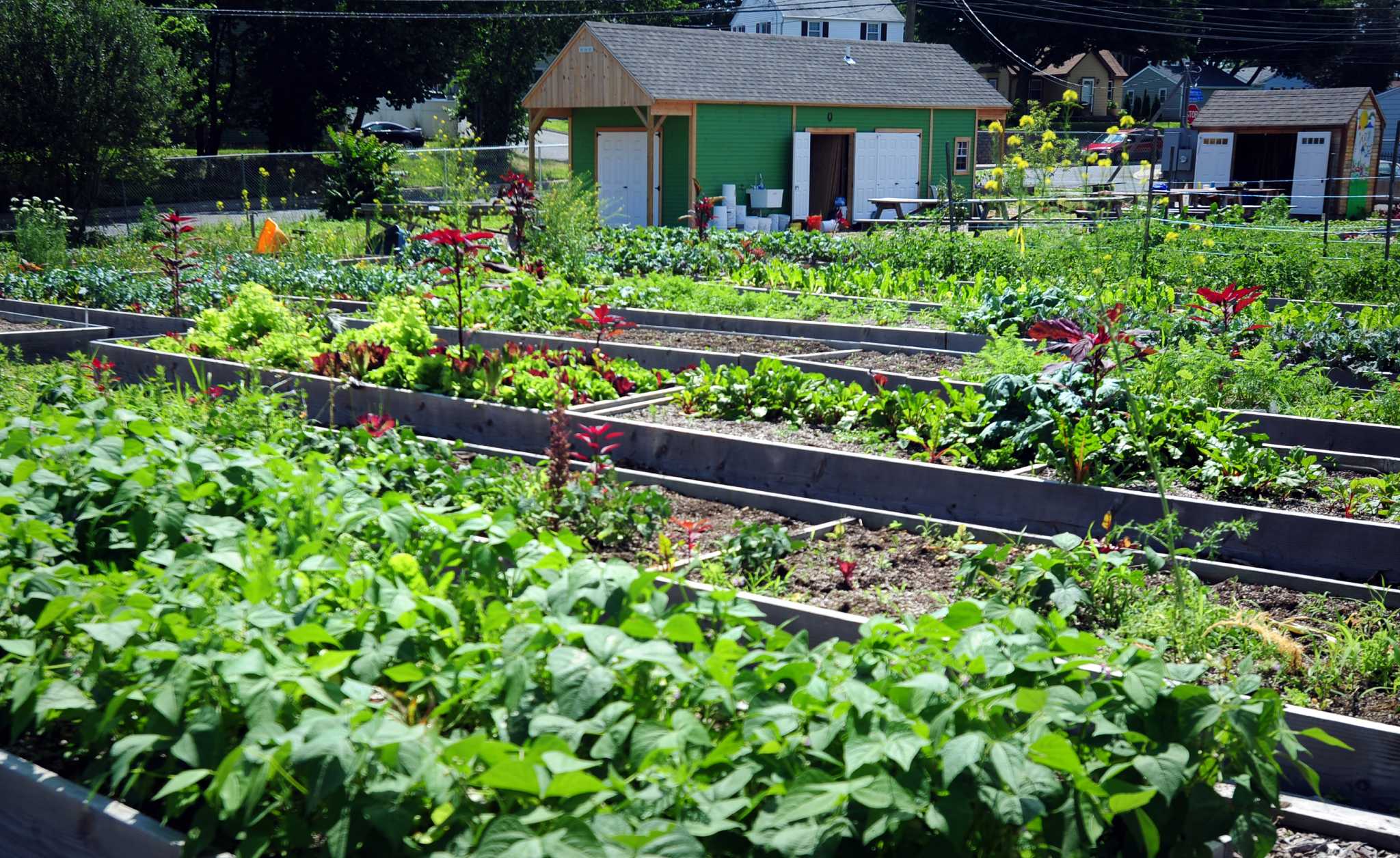 Bridgeport, Darien, get state open-space, garden grants