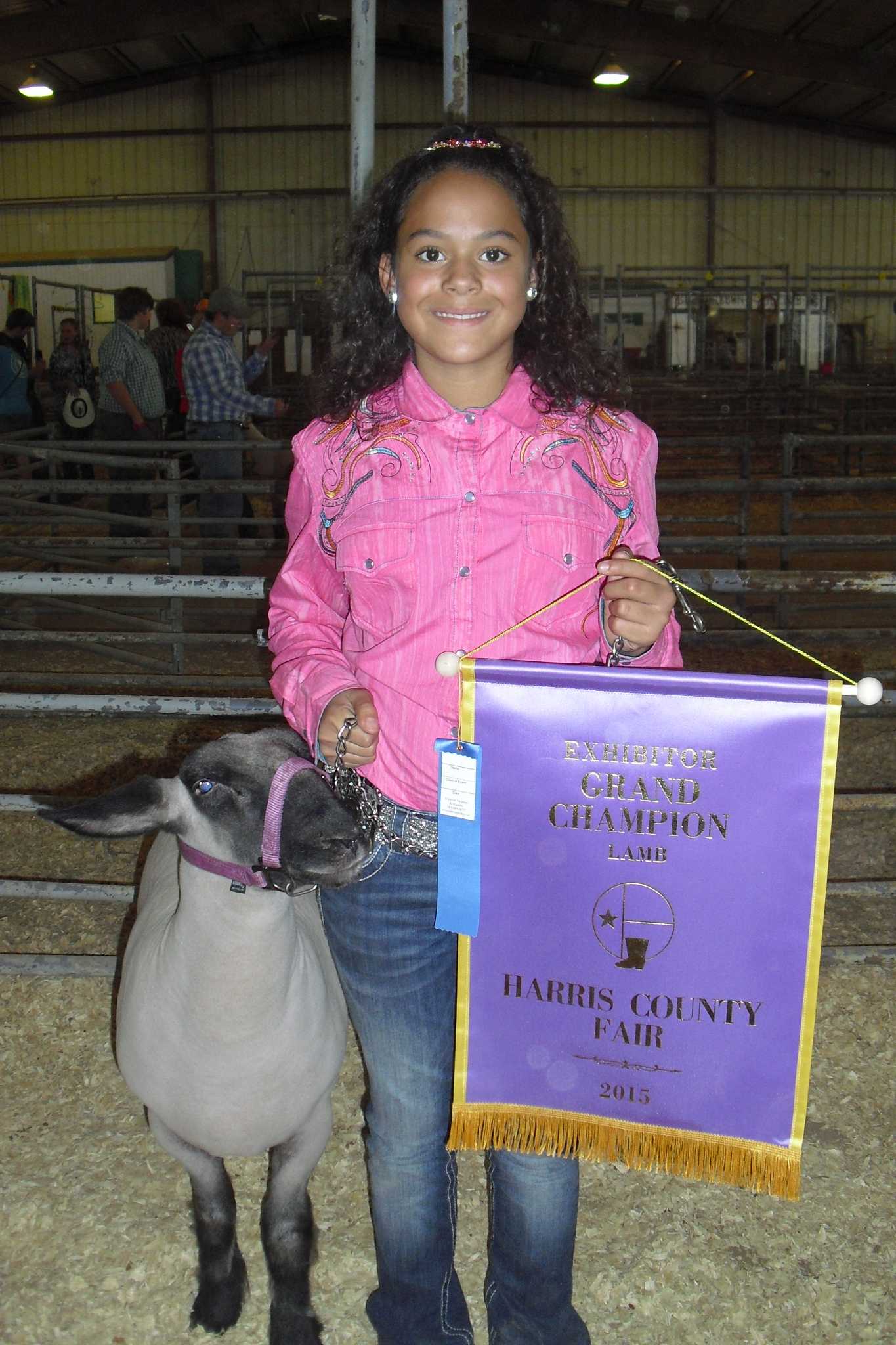 Cy-Falls FFA members named grand champions at Harris County Fair