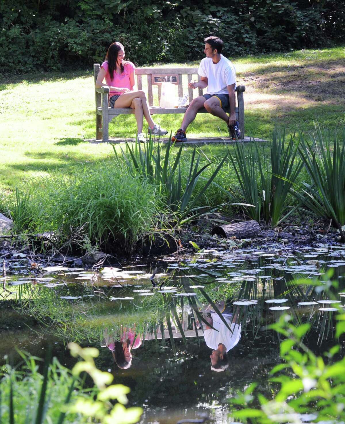 Landscape designers to give presentation at Greenwich garden center