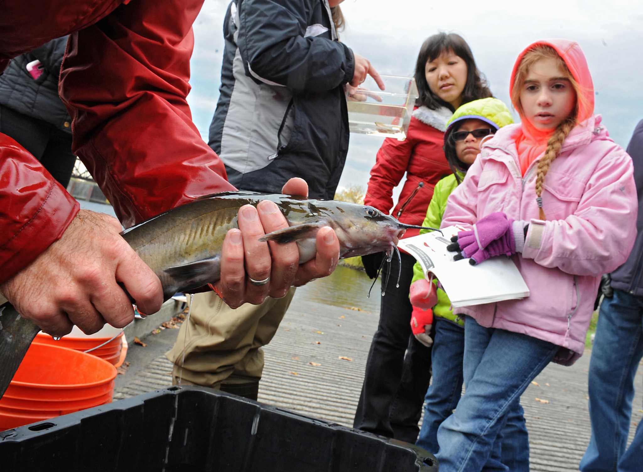 Students join Hudson River field project