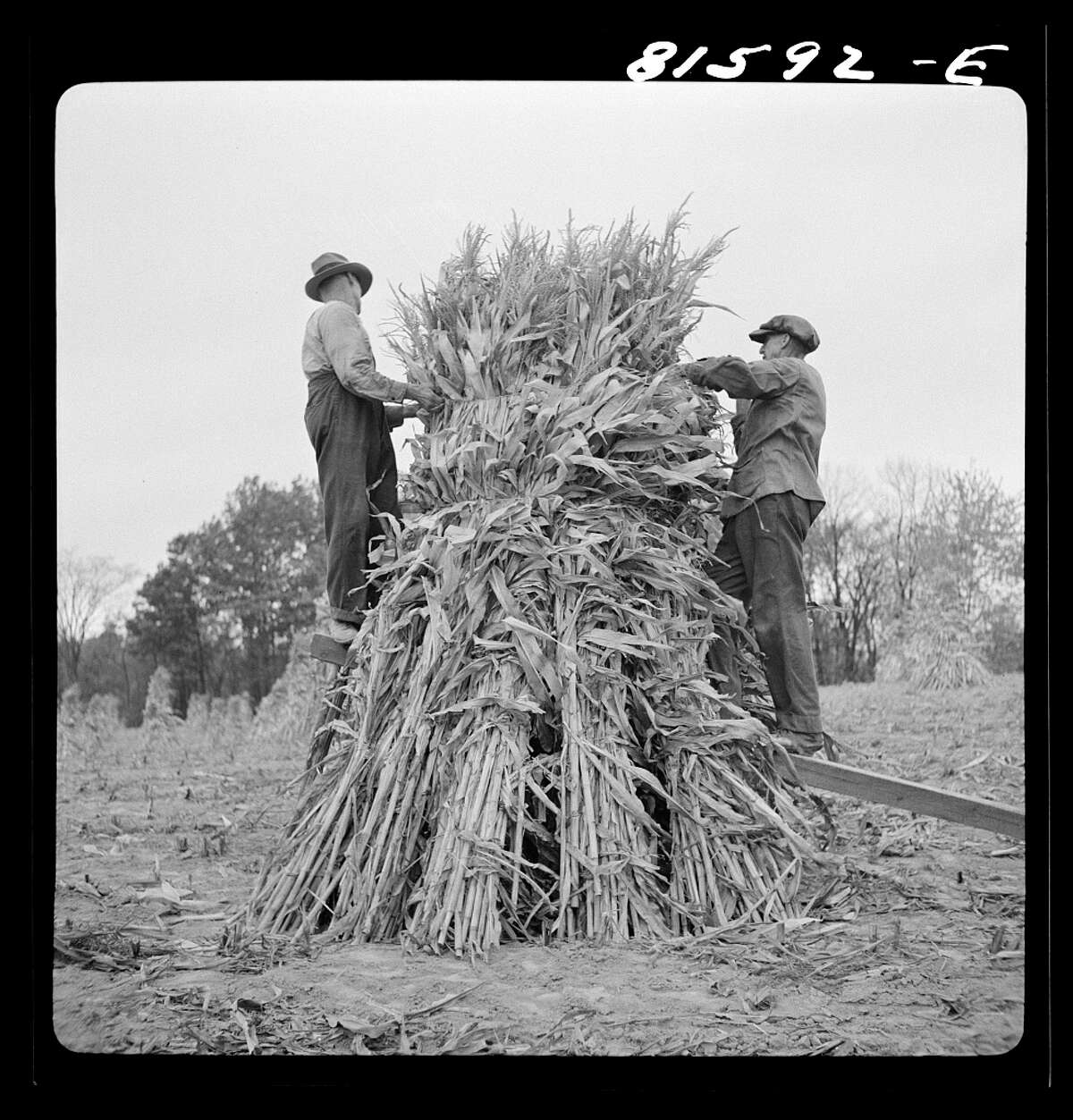 Historical photos: Depression-era Capital Region