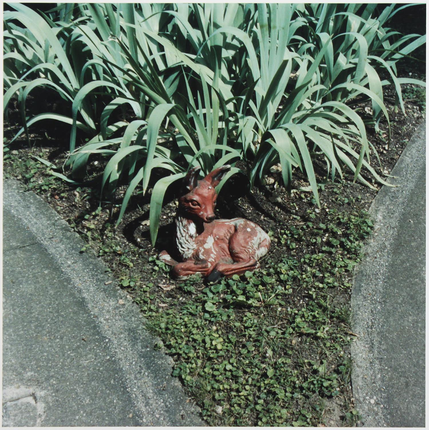 A peek inside Amy Blakemore's world