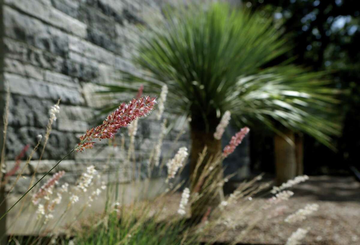 Suit your style with a water-saving yard tailored to your home’s ...