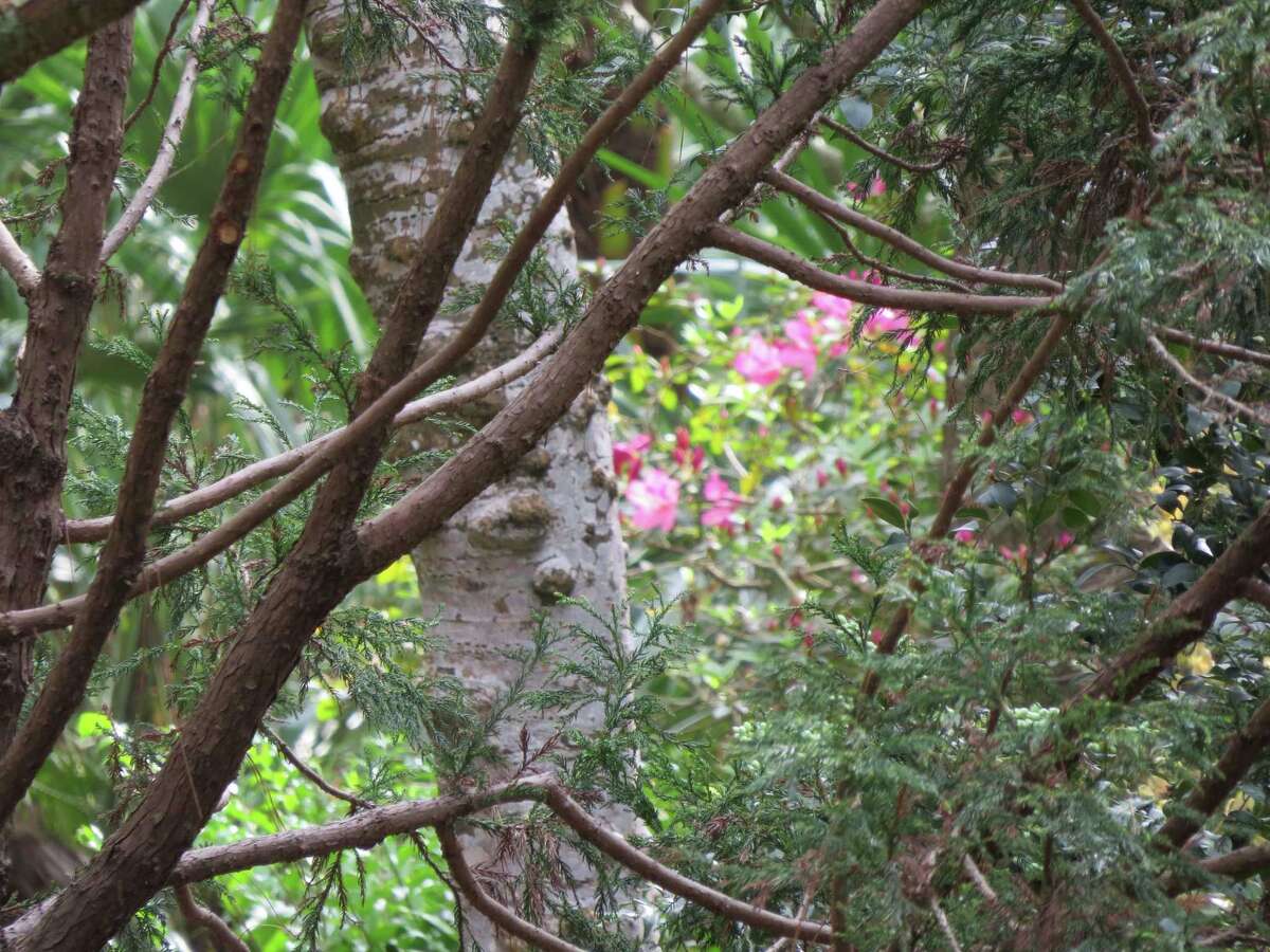 'Significant beauty takes time'