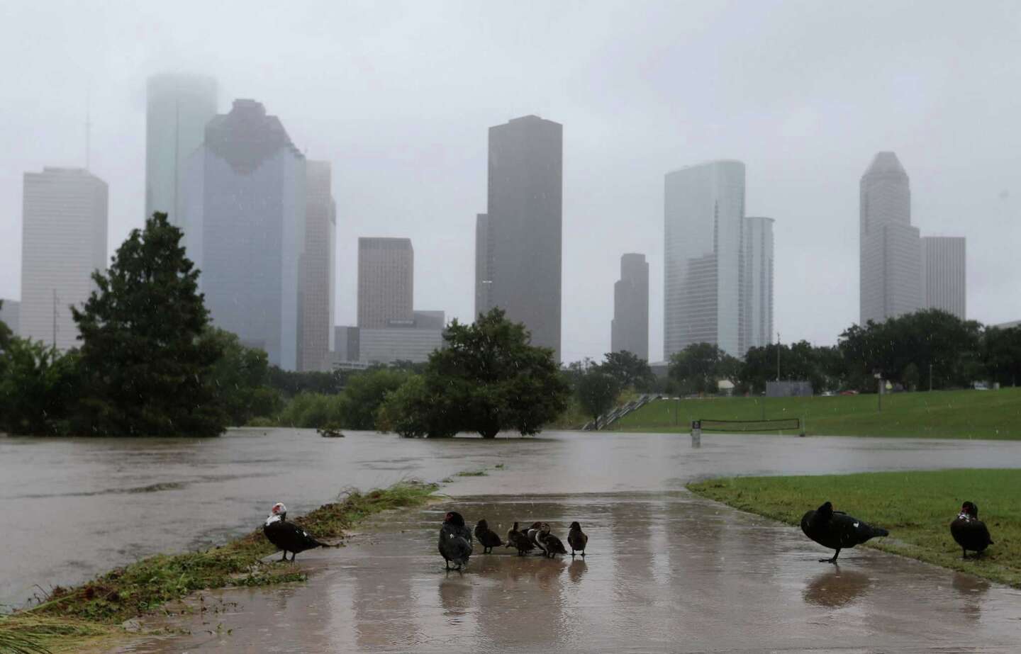 Heavy rains hit Houston area overnight