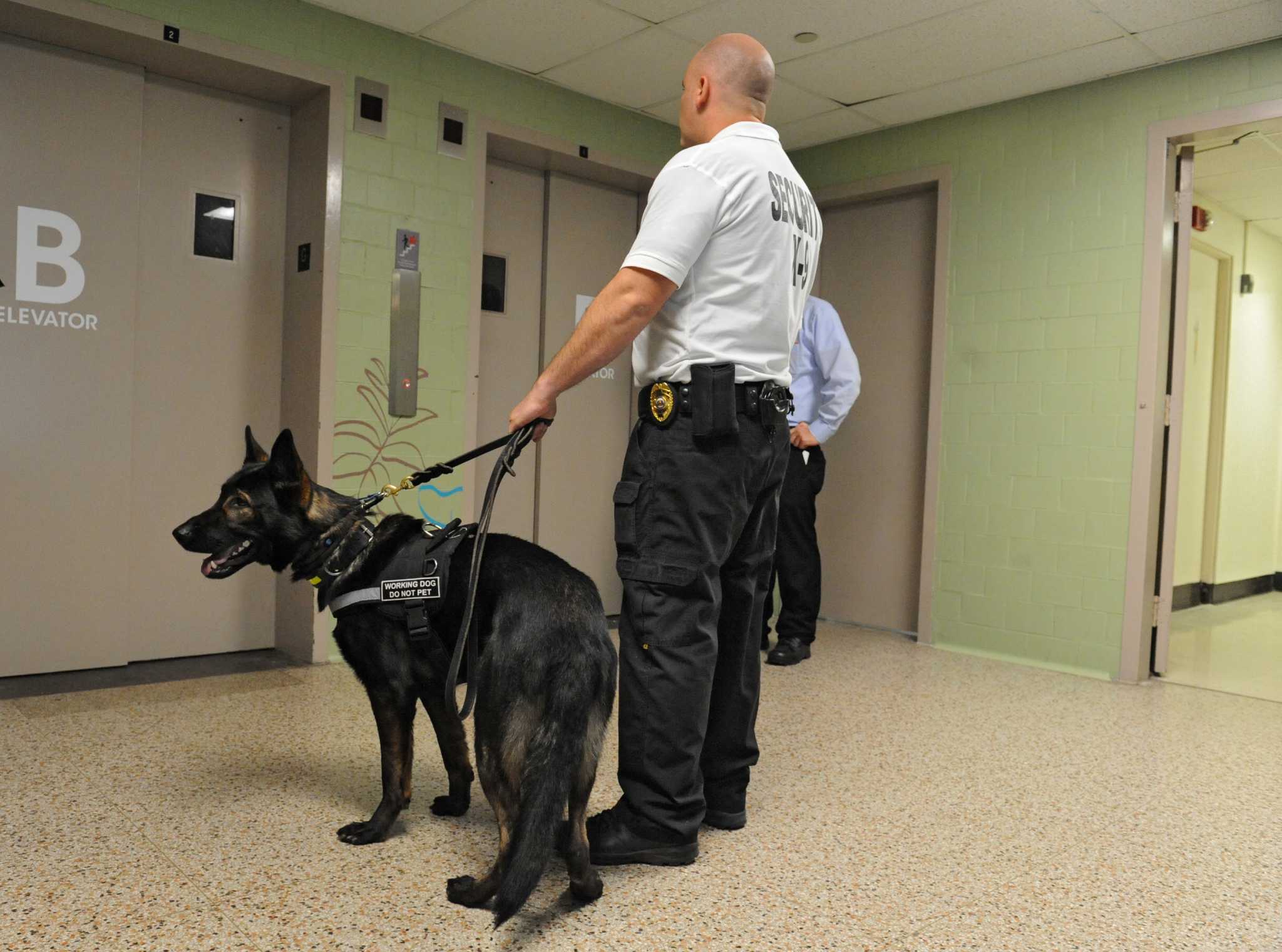 Photos: Dogs join hospital security team