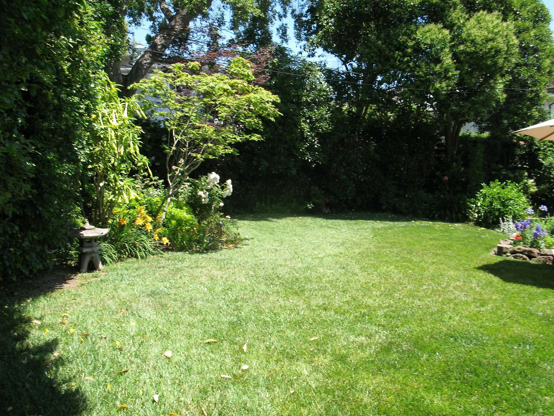 Goodbye, lawn! Backyard grows up after kids leave the nest