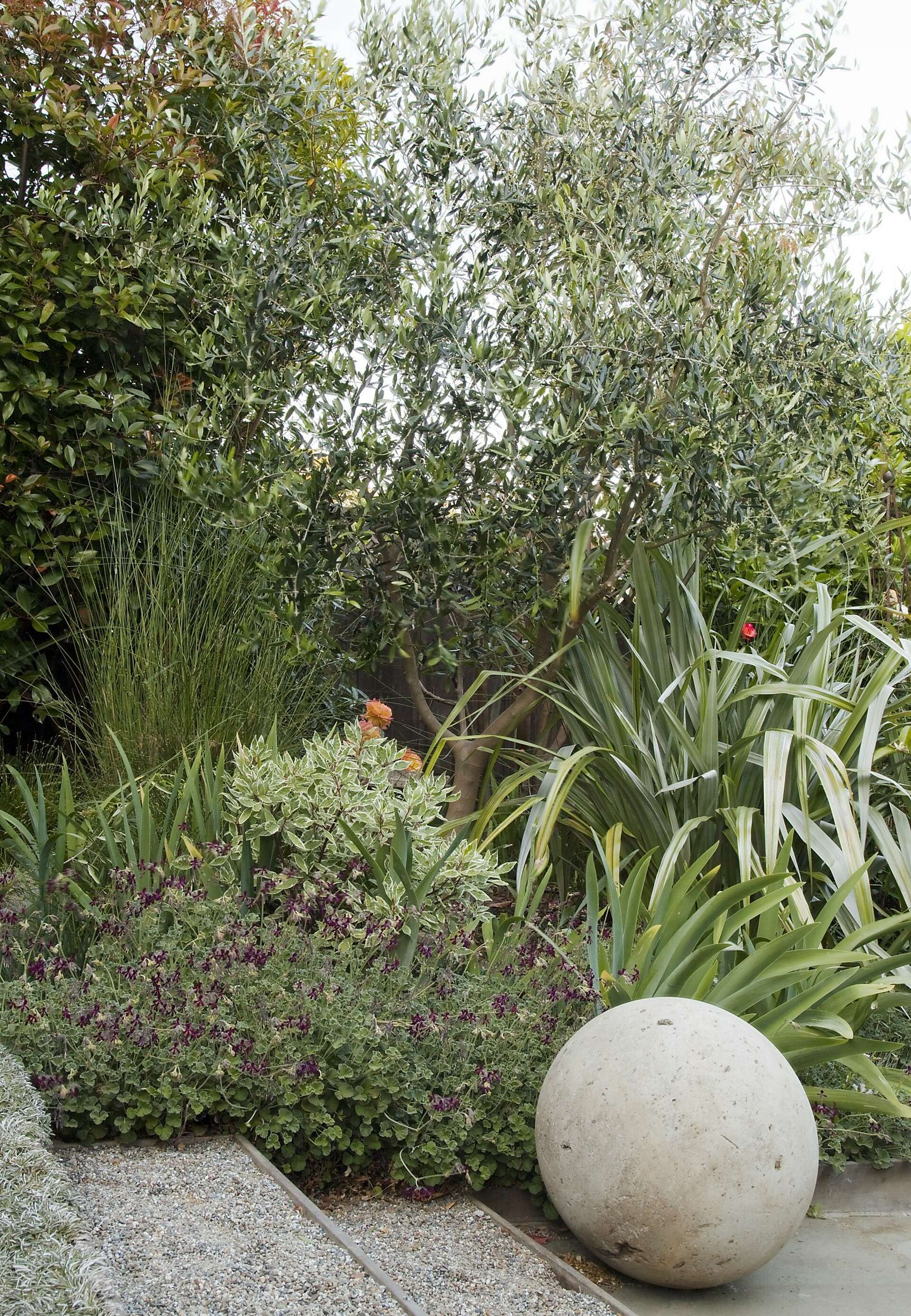 Goodbye, lawn! Backyard grows up after kids leave the nest