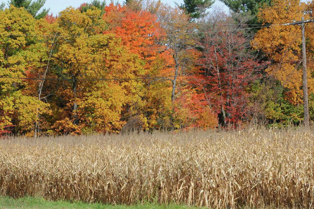 Beautiful fall day Wednesday