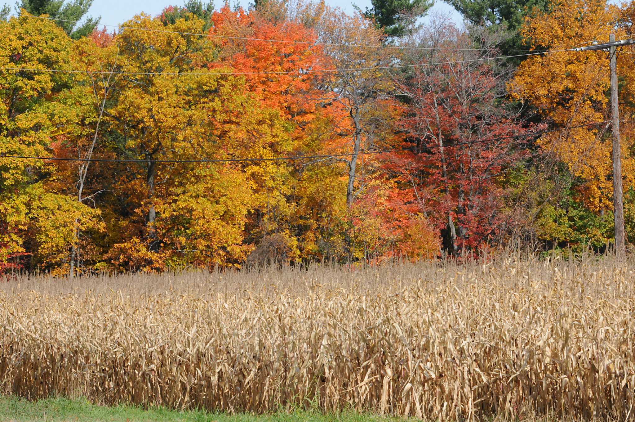 Beautiful fall day Wednesday