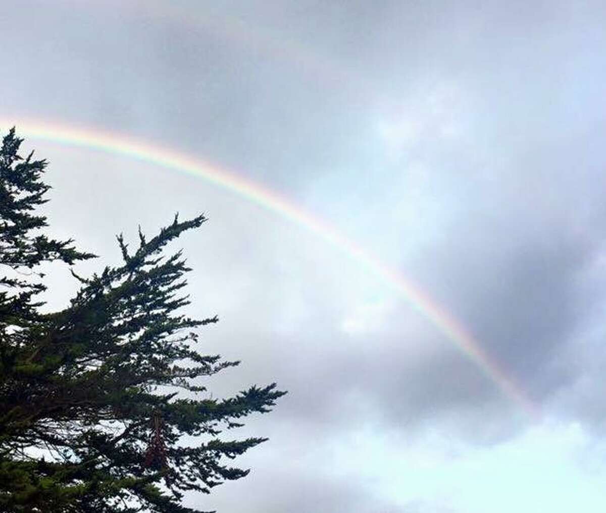 'Woo hoo!' Bay Area residents excited over rain, rainbow