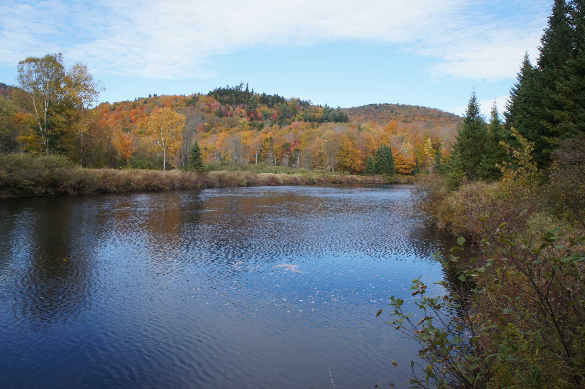 Challenge of Cedar River