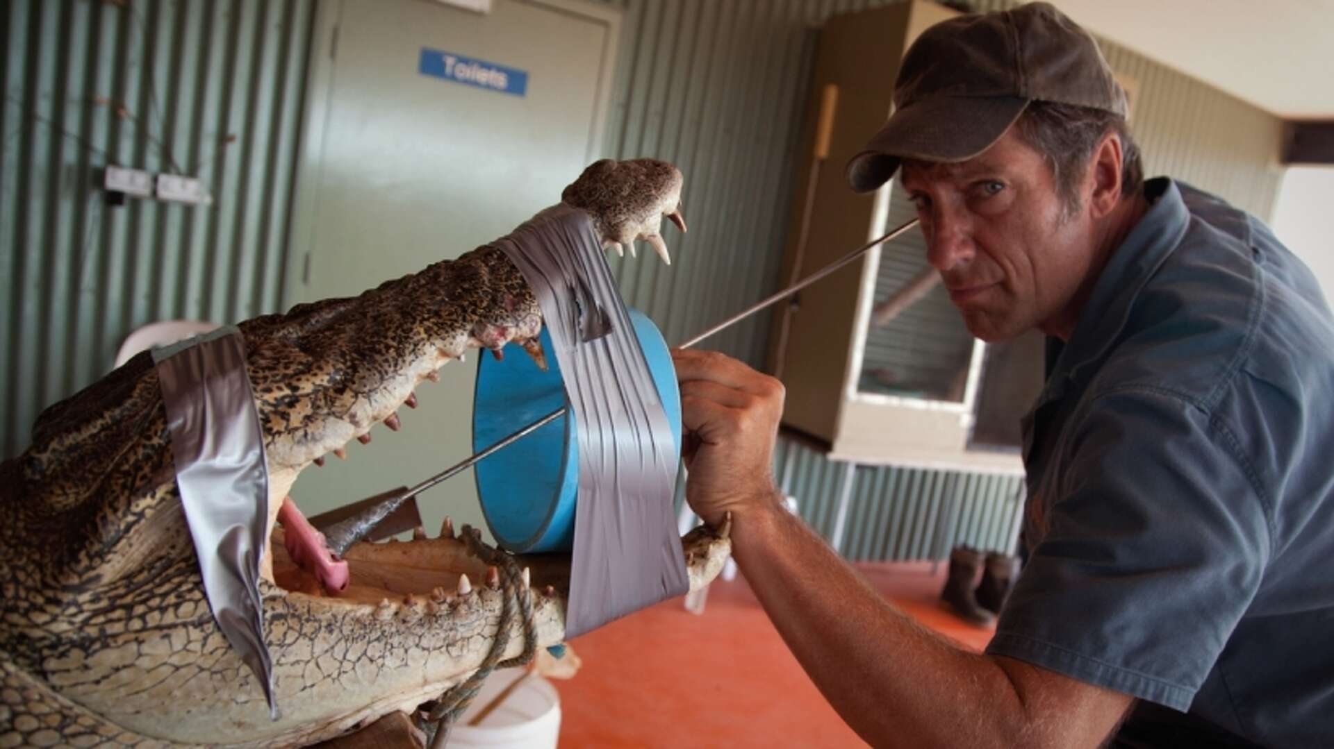 16 thrilling facts about New Braunfels' Animal World and Snake Farm Zoo