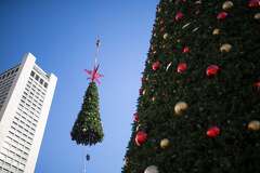 How Union Square’s huge Christmas tree is unwrapped, rustproofed