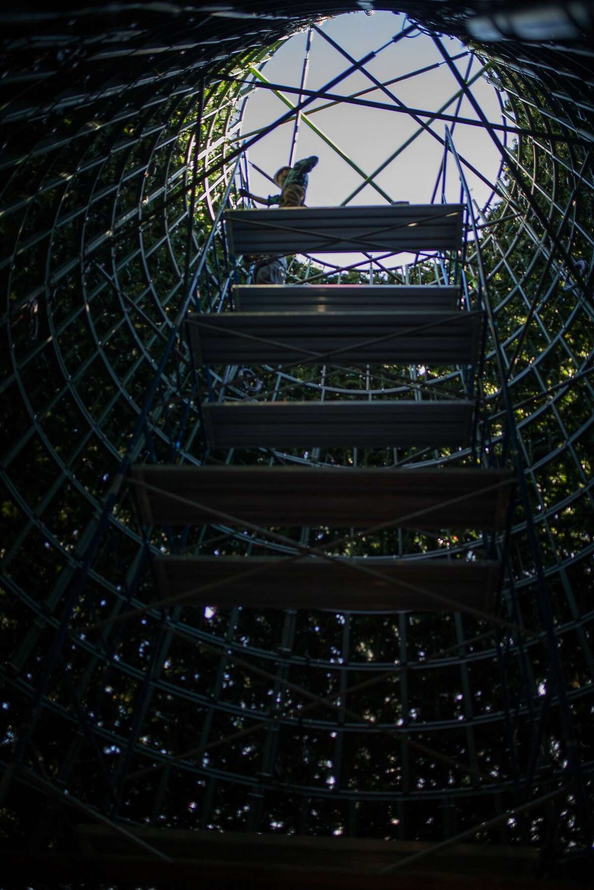 How Union Square’s huge Christmas tree is unwrapped, rustproofed