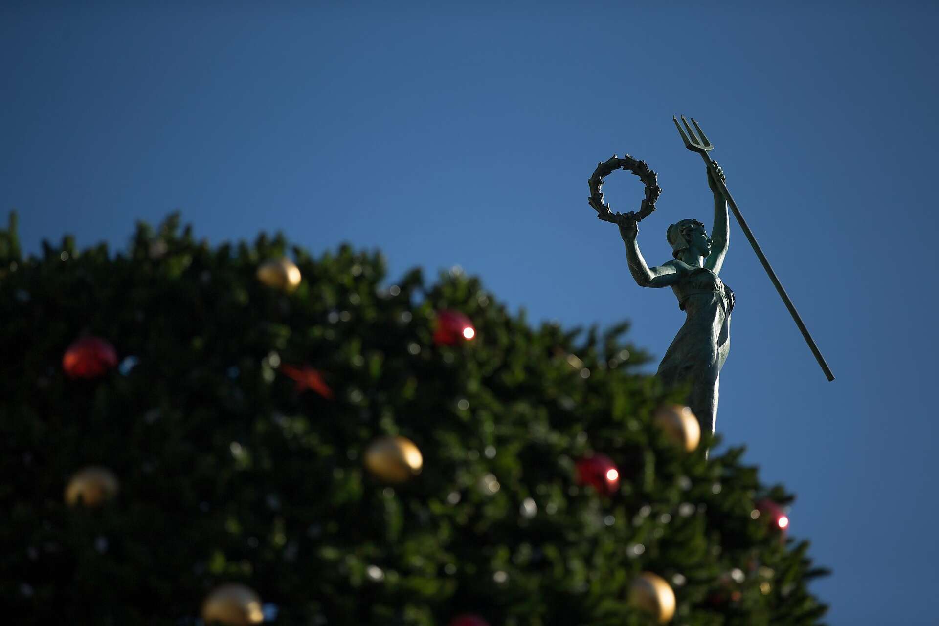 How Union Square’s huge Christmas tree is unwrapped, rustproofed
