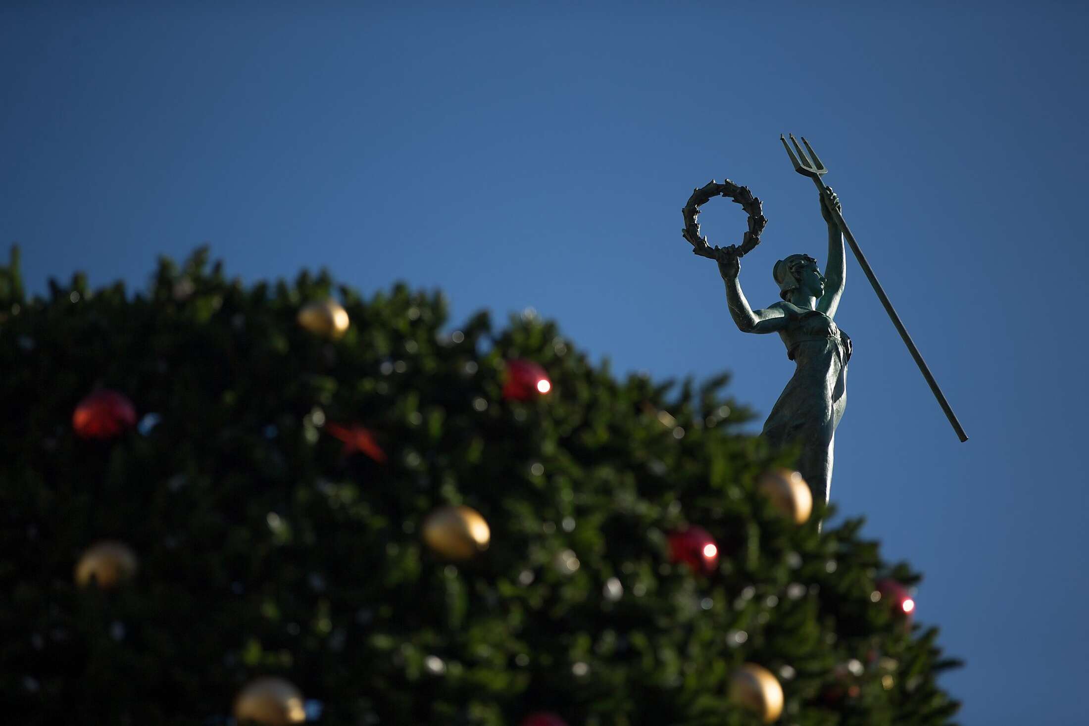 How Union Square’s huge Christmas tree is unwrapped, rustproofed