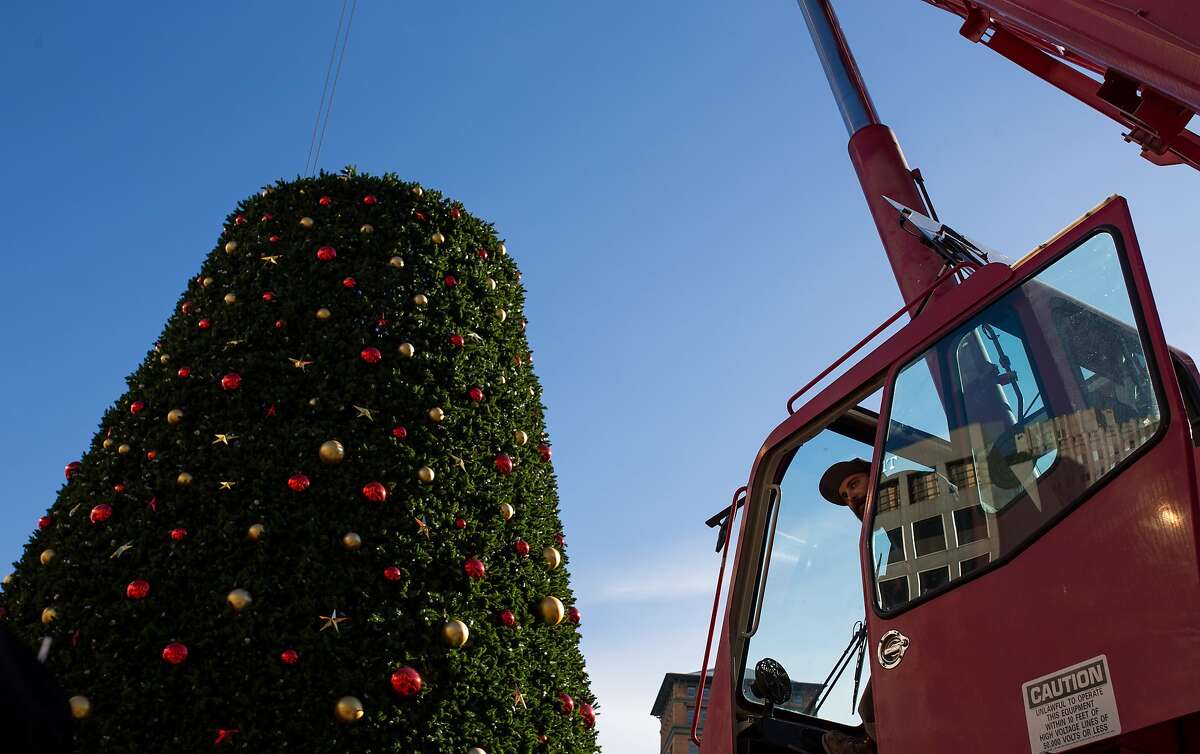 How Union Square’s huge Christmas tree is unwrapped, rustproofed